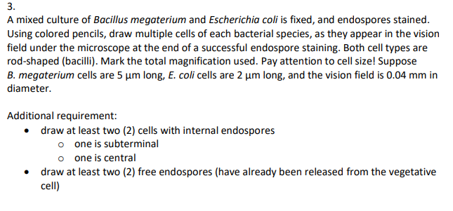 Solved 3. A mixed culture of Bacillus megaterium and | Chegg.com