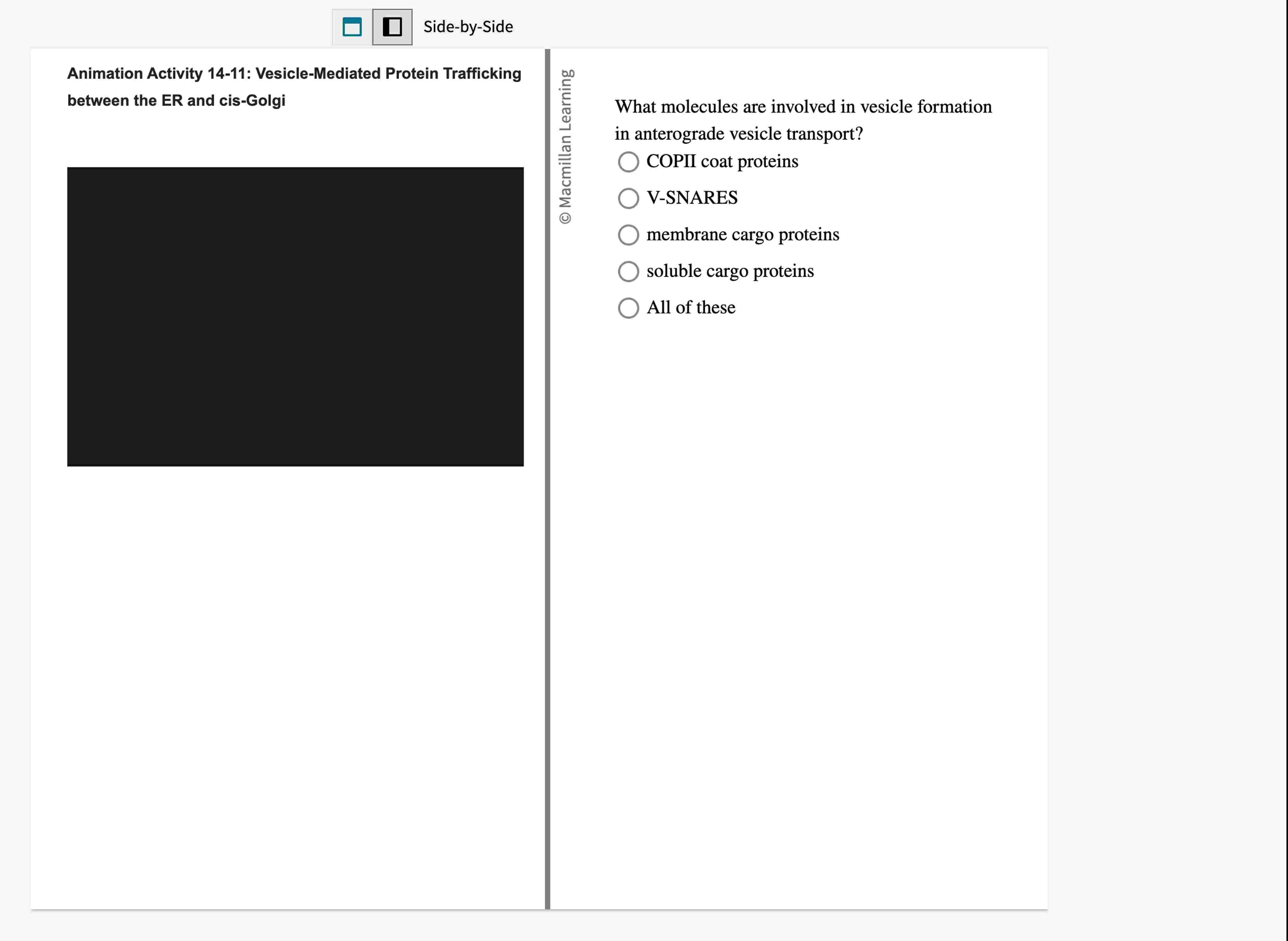 Solved Animation Activity 14-11: Vesicle-Mediated Protein | Chegg.com