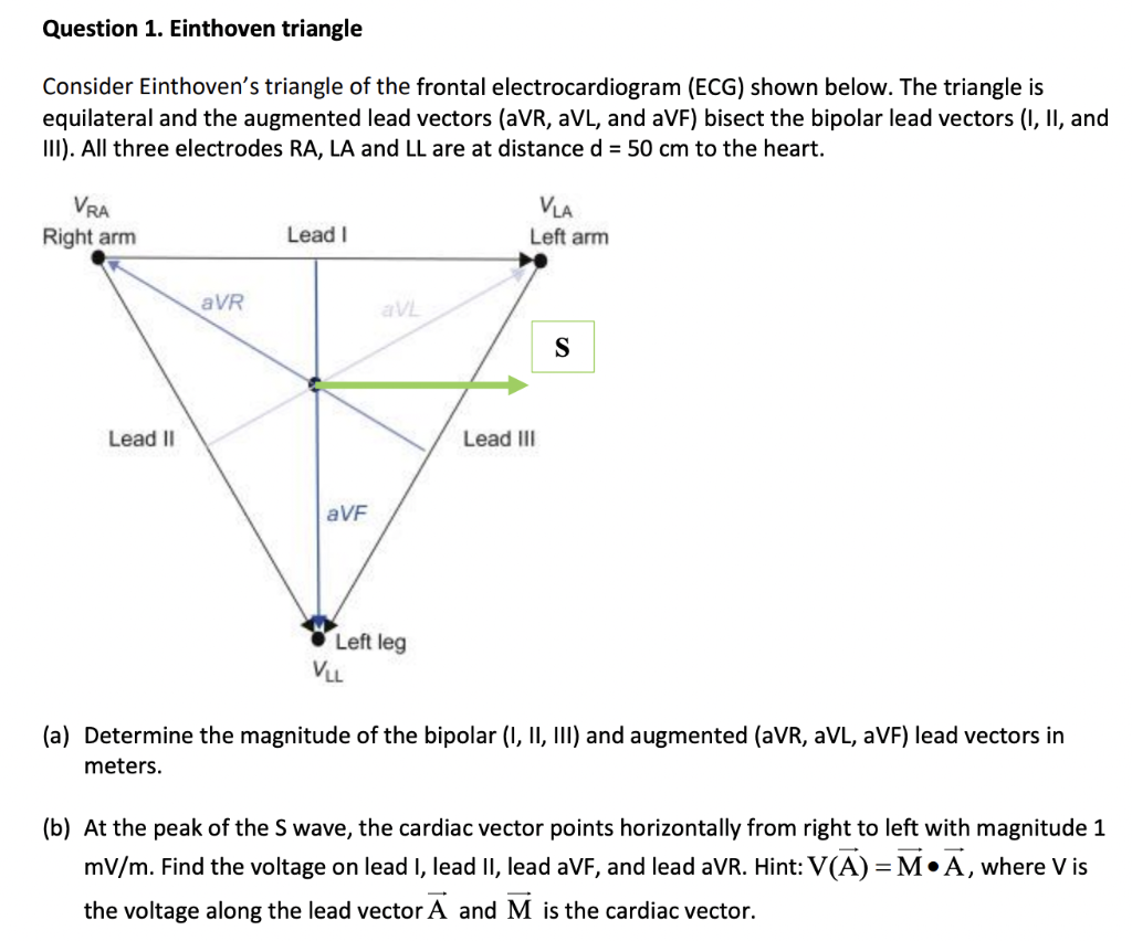 Solved Question 1. Einthoven triangle Consider Einthoven's | Chegg.com