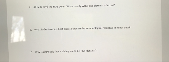 Solved The case of Austin Sloper: the consequences of a | Chegg.com