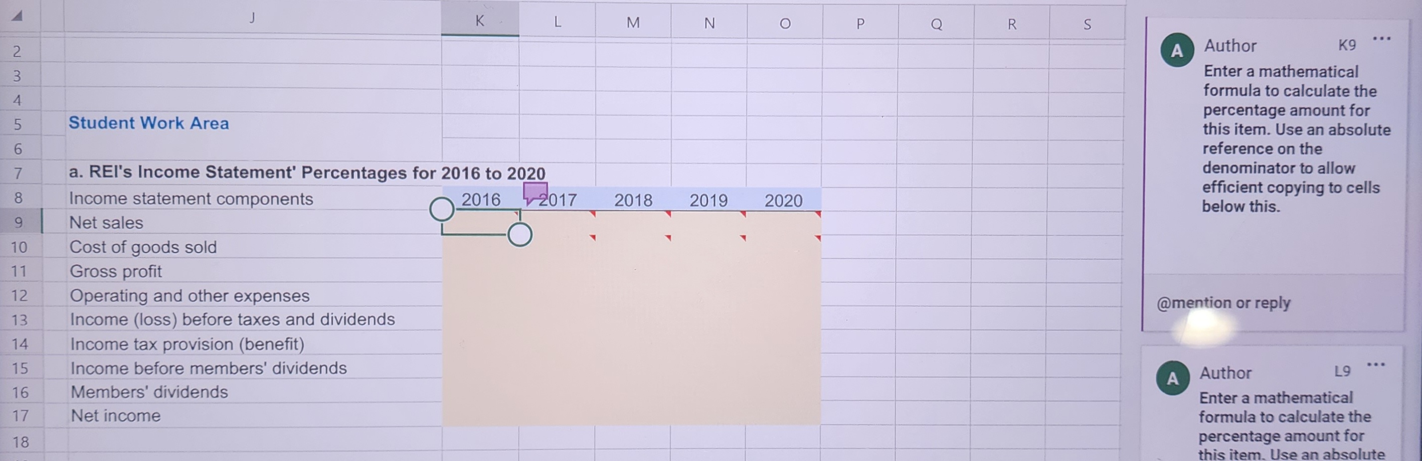 Solved Student Work Area a. REI's Income Statement' | Chegg.com