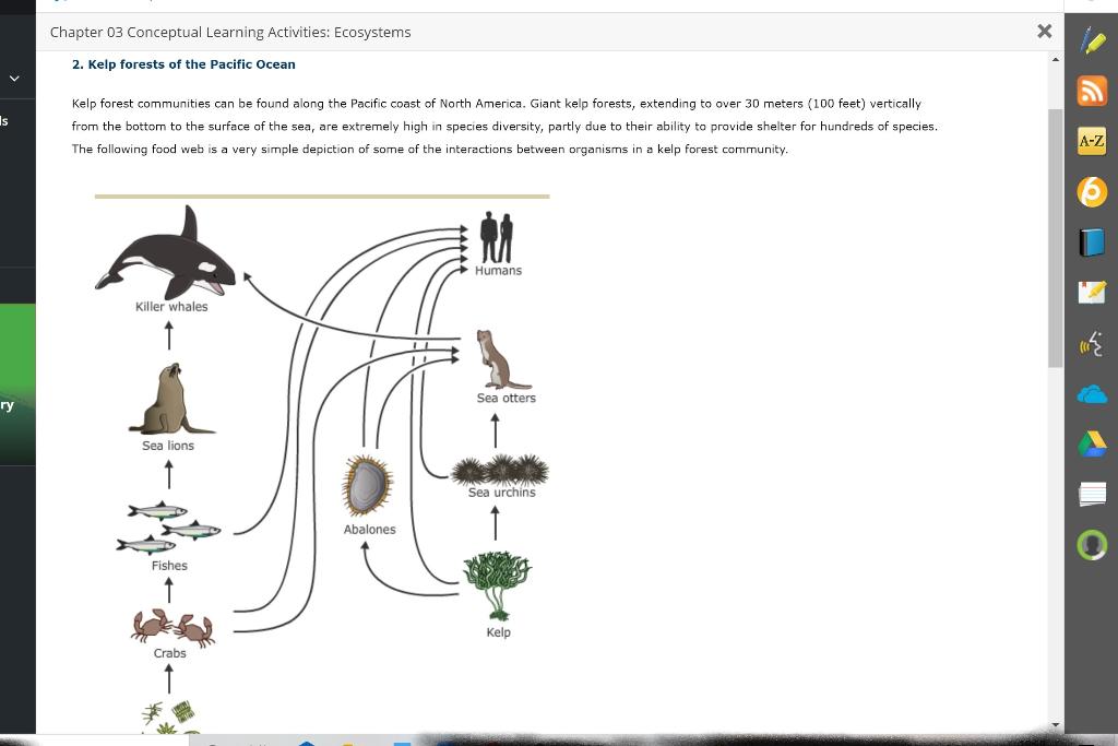 Solved Chapter 03 Conceptual Learning Activities: Ecosystems | Chegg.com