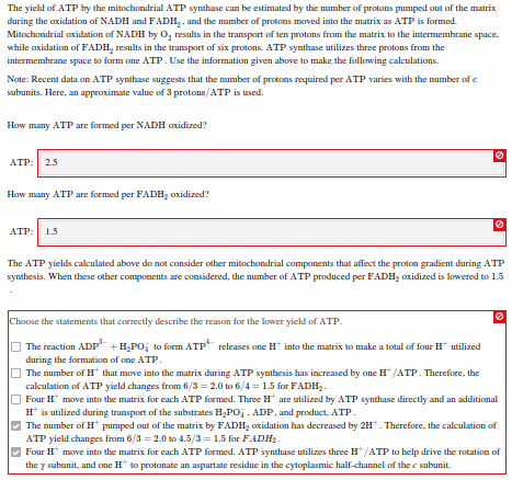 Solved The yield of ATP by the mitochondrial ATP synthase | Chegg.com