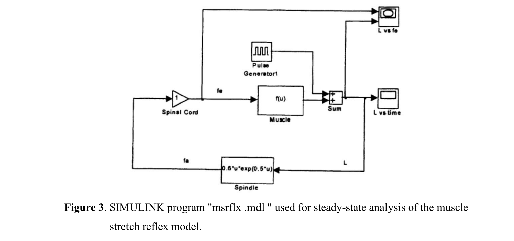 L vs to wan Pulse Generator f(u) Sum Spinal Cord L vs | Chegg.com