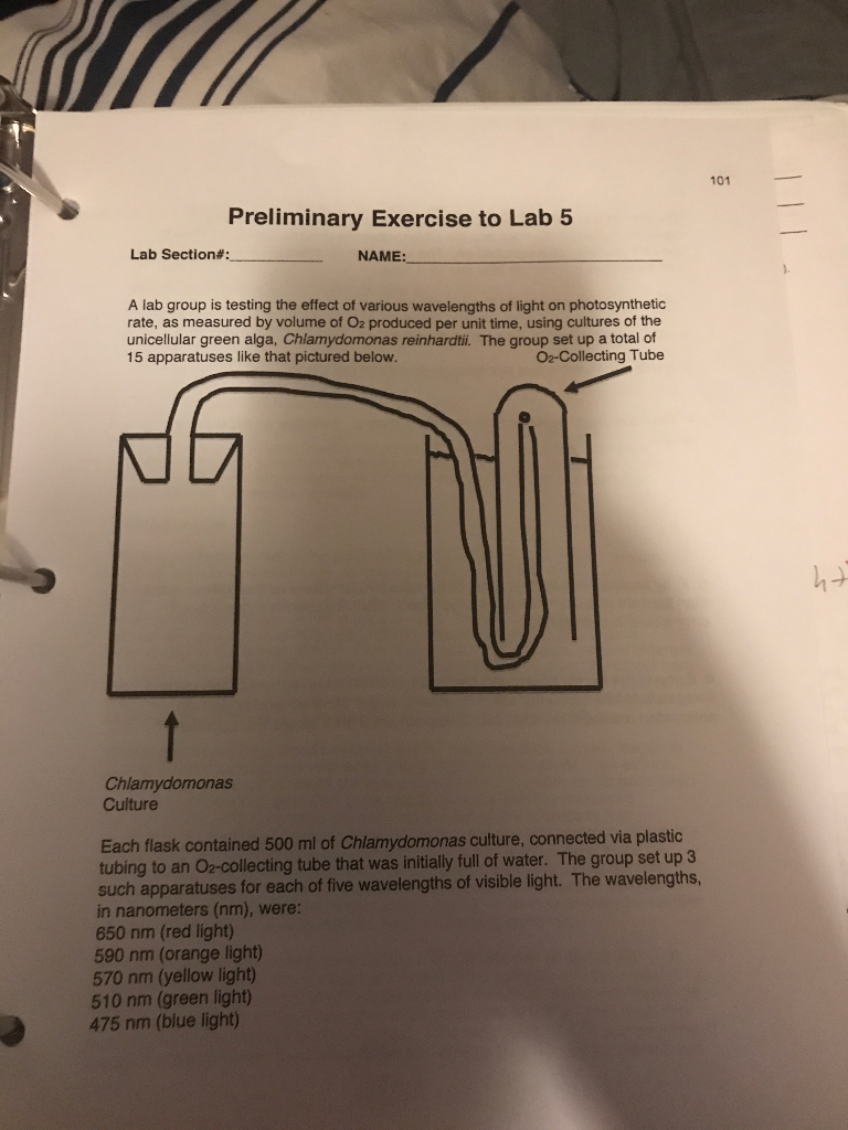 Preliminary Exercise to Lab 5 Lab Section#: NAME: A | Chegg.com