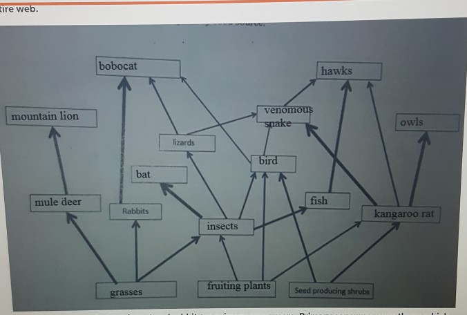 Solved These questions are based on the web made in my | Chegg.com