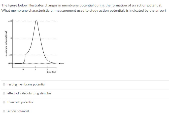 Solved The figure below illustrates changes in membrane | Chegg.com