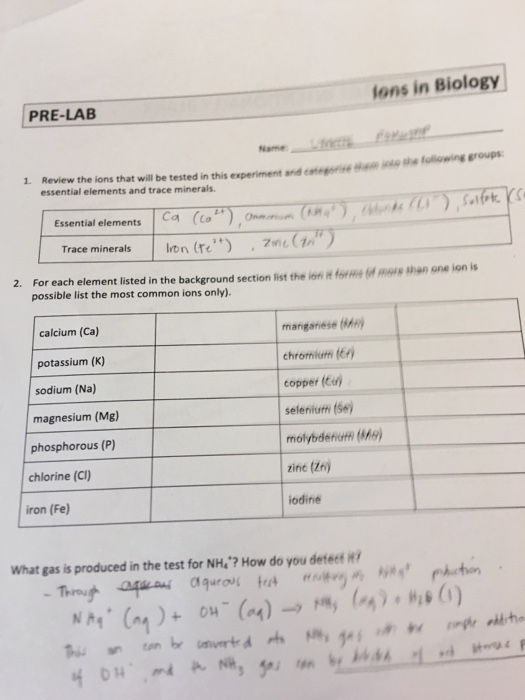 Solved ons in Biology PRE-LAB Name 1. Review the ions that | Chegg.com