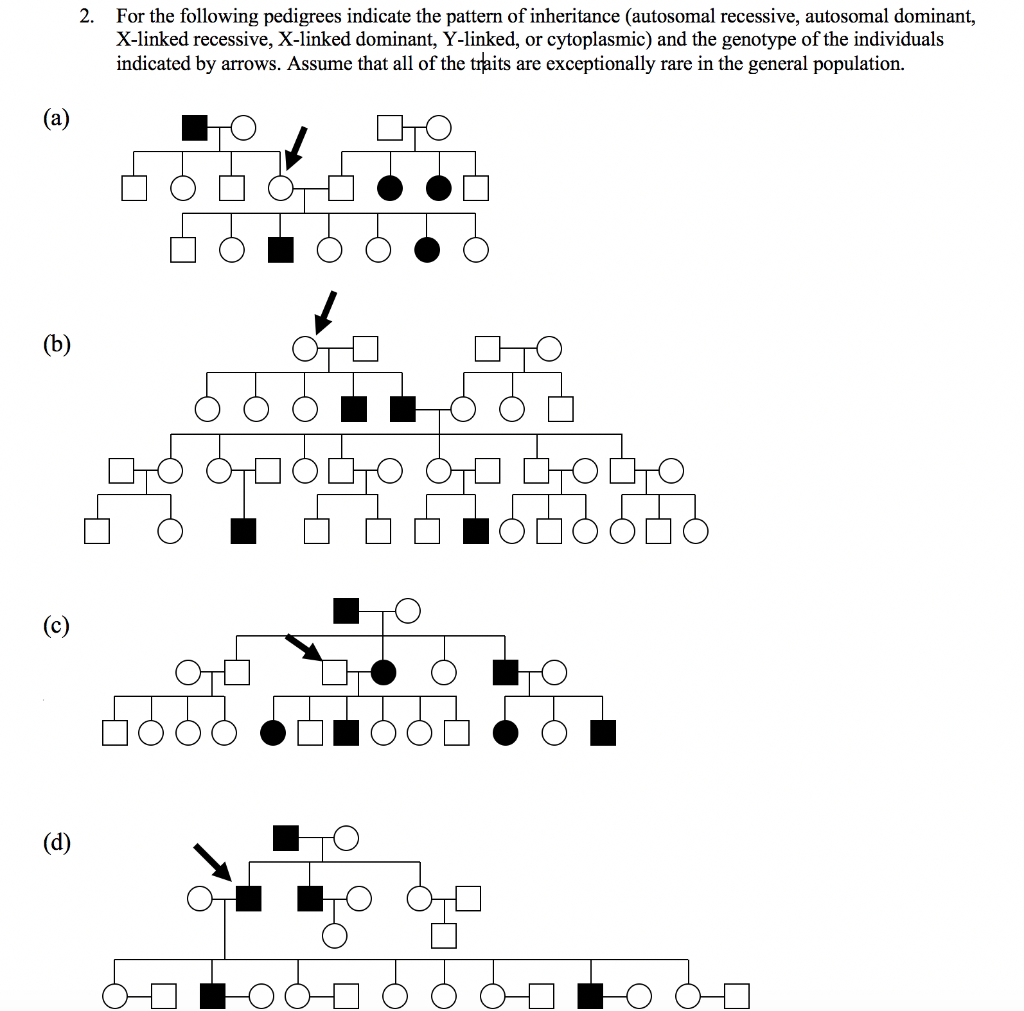 Solved For the following pedigrees indicate the pattern of | Chegg.com