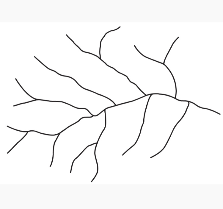 Solved Q1: The figure here shows the stream pattern within a | Chegg.com