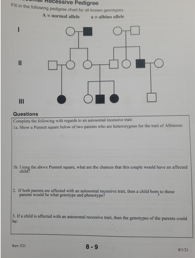Albinism Pedigree Chart