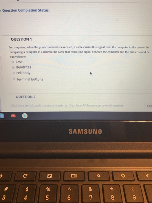 Solved Question Completion Status: QUESTION 1 In computers, | Chegg.com