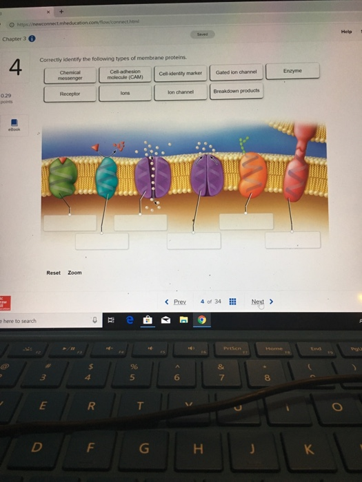 Solved Chapter 3 6 Correctly identify the following types of | Chegg.com