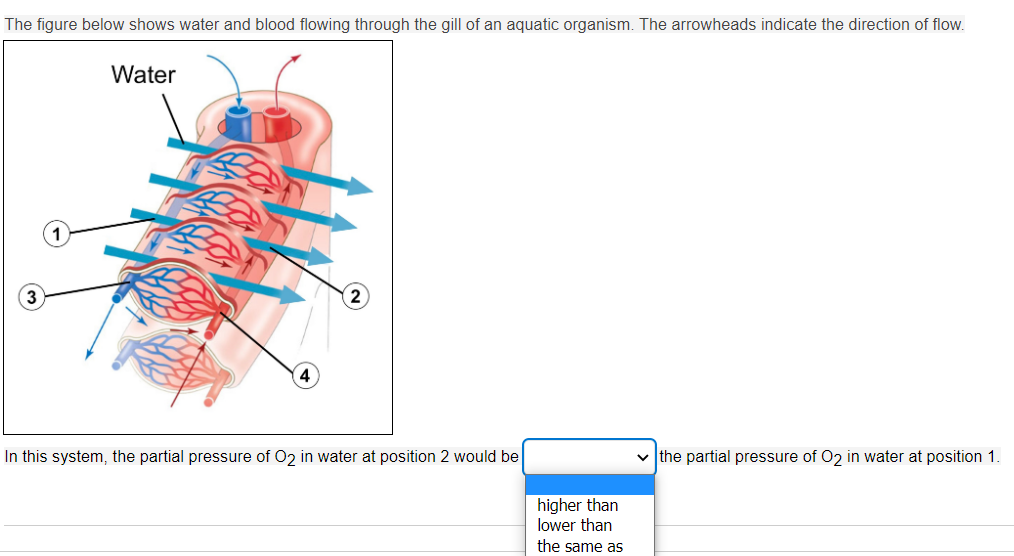 Solved In this system, the partial pressure of O2 in water | Chegg.com