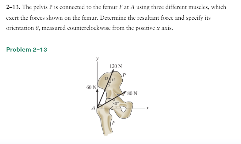 Solved 2-13. The pelvis P is connected to the femur F at A | Chegg.com