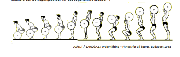 Solved biomechanics In weightlifting, the middleweight | Chegg.com