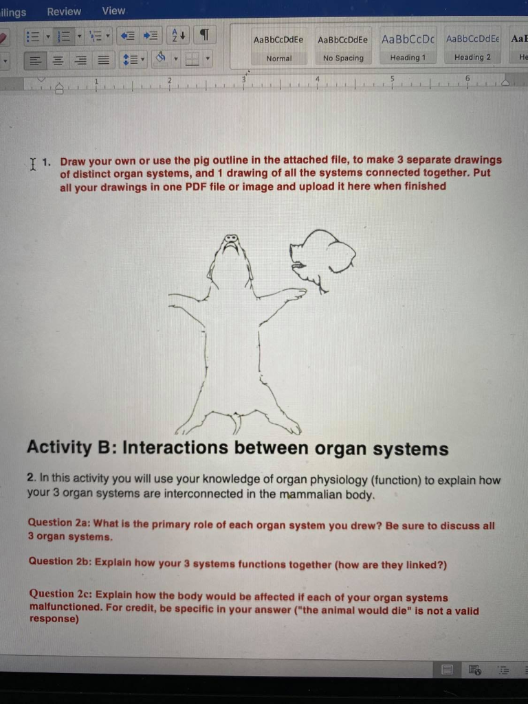 Solved ilings Review View - AaBbCcDdEe AaBbCcDdEe Aal | Chegg.com