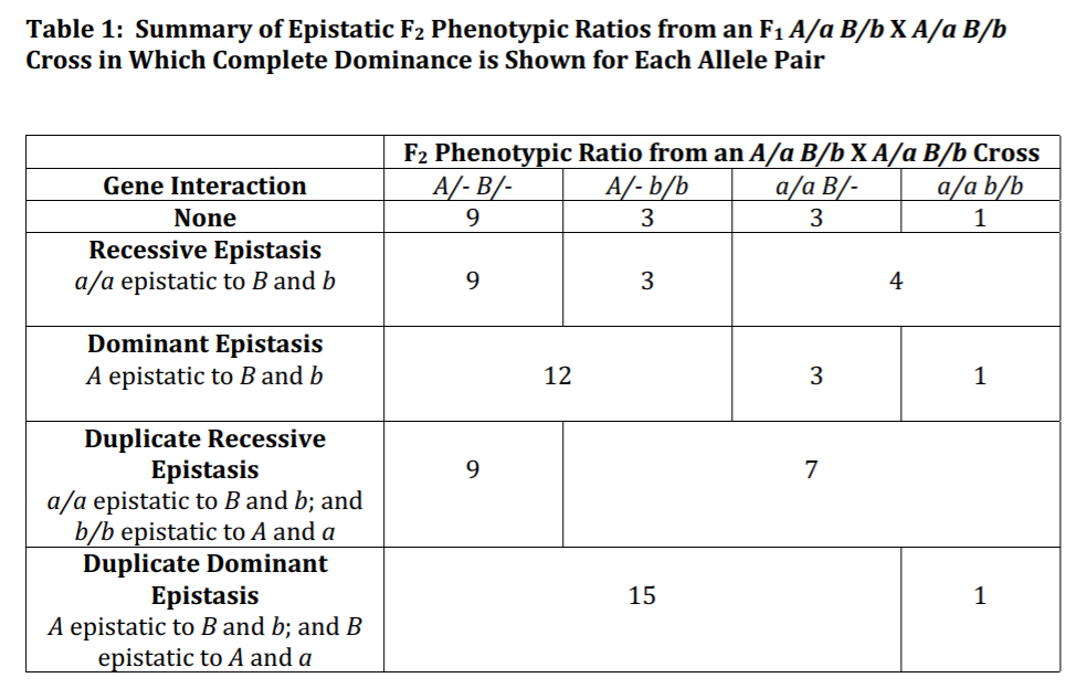 Solved 4. (Chapter 4 and Metabolic Pathways / Epistasis | Chegg.com