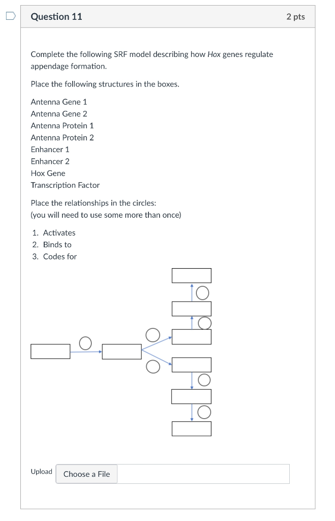 Solved Question 11 2 pts Complete the following SRF model | Chegg.com