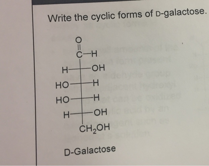 Solved Write the cyclic forms of D-galactose. | Chegg.com