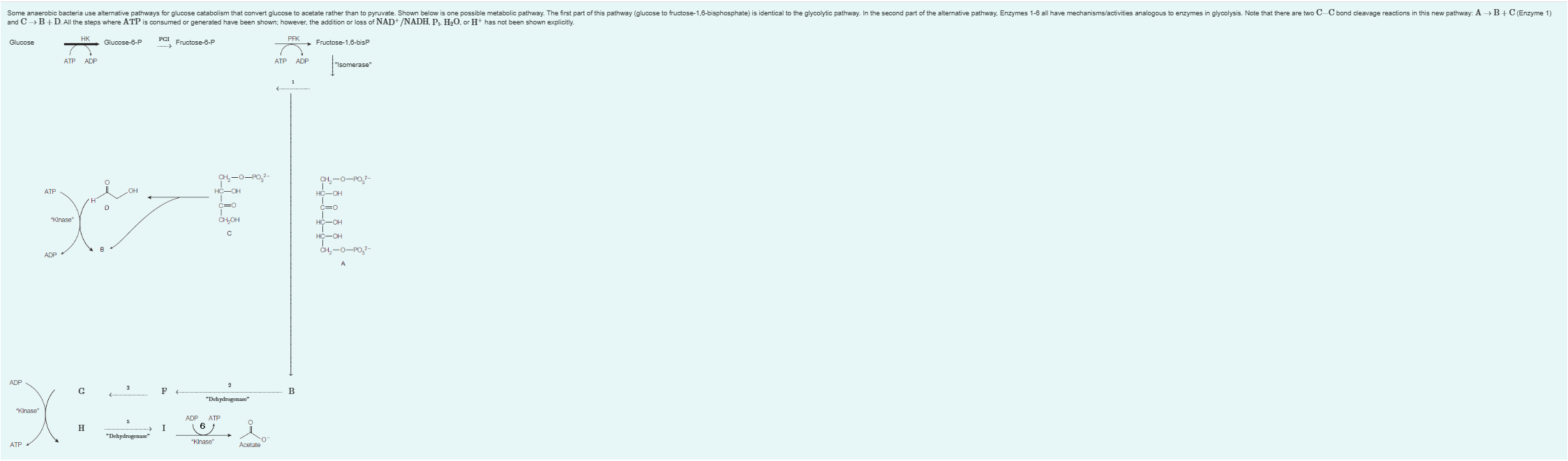 Solved Please draw the intermediate structures for B, ﻿F, | Chegg.com