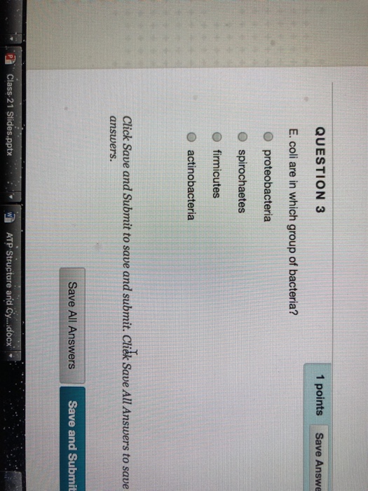 Solved QUESTION 3 1 points Save Answe E. coli are in which | Chegg.com Solved QUESTION 3 1 points Save Answe E. coli are in which | Chegg.com