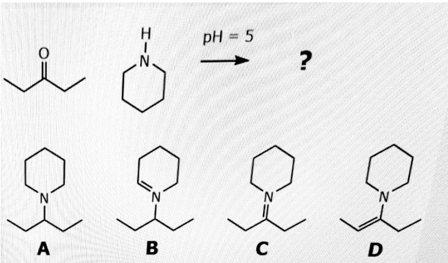 Solved pH = 5 i ŏ , | Chegg.com