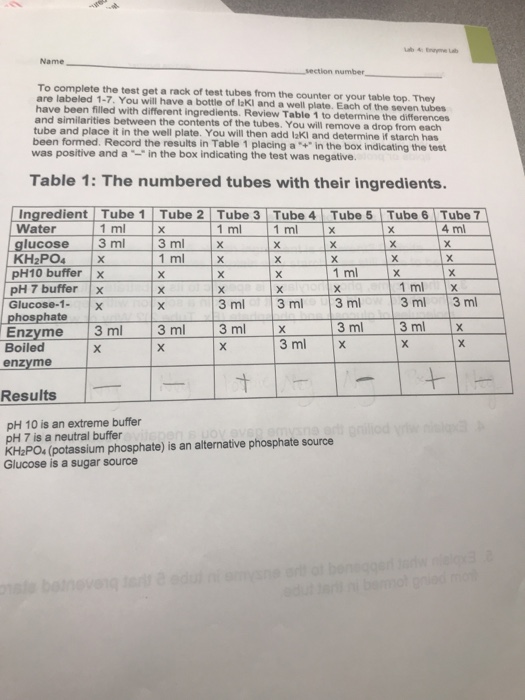 Solved Name number To complete the test get a rack of test | Chegg.com