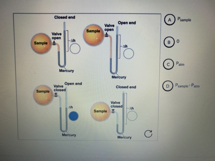 Solved Closed end A Psample Valve Open end Sample open Valve | Chegg.com