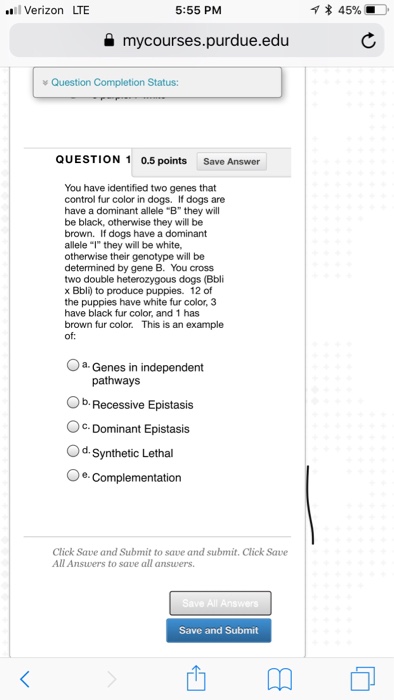 Solved Question Completion Status: QUESTION 1 1 points Save | Chegg.com