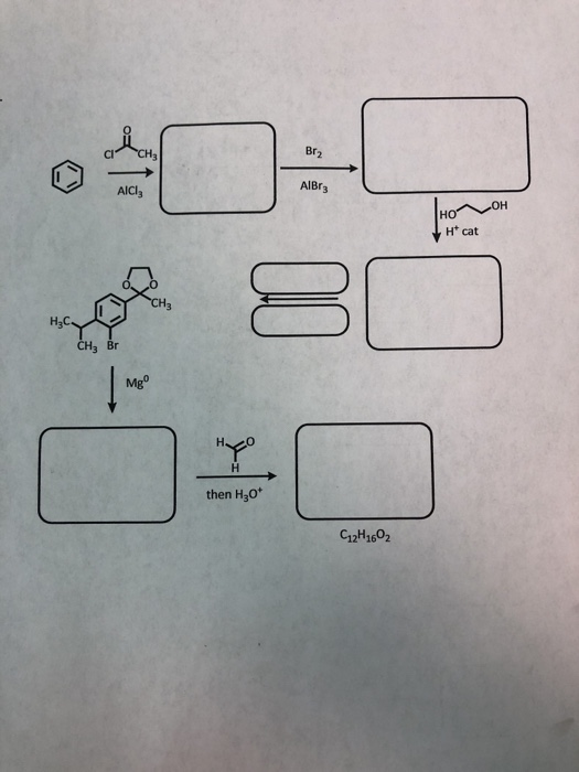 Solved arl Br2 AlCl3 AlBr3 H cat H3 Br Mgo н о then H3o* | Chegg.com
