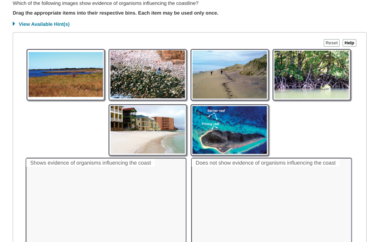 Solved Which of the following images show evidence of | Chegg.com