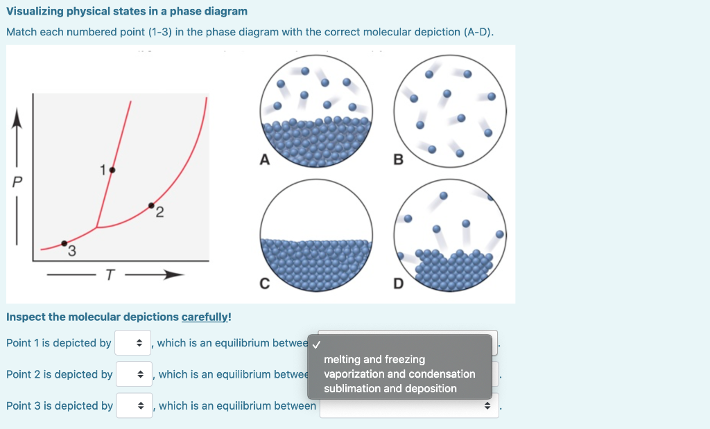 Solved Visualizing physical states in a phase diagram Match | Chegg.com