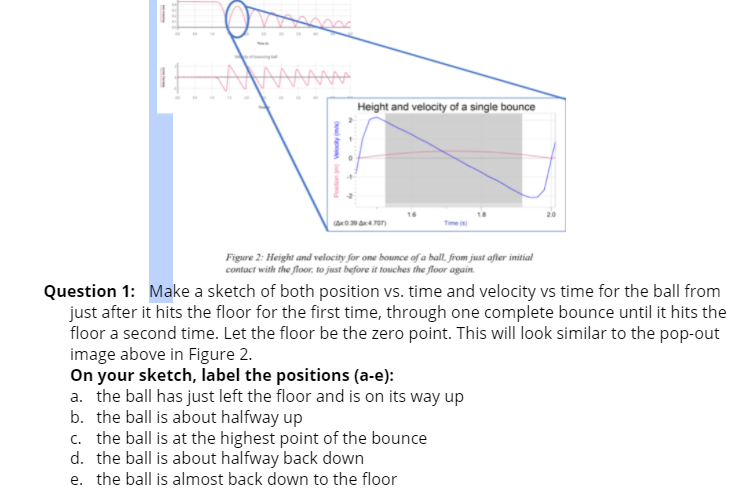 Solved Art Height and velocity of a single bounce 16 20 | Chegg.com