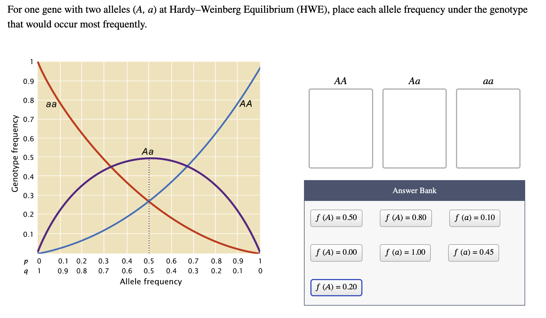 Solved For one gene with two alleles (A,a) at | Chegg.com