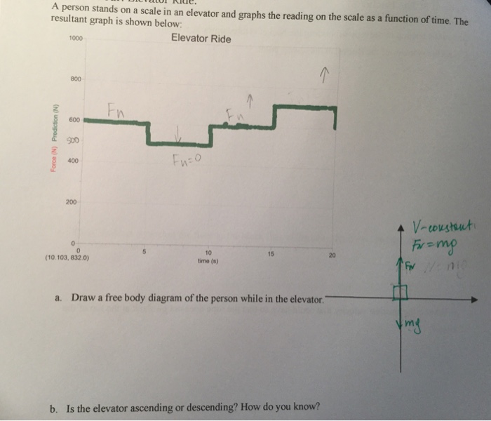 Solved A person stands on a scale in an elevator and graphs | Chegg.com
