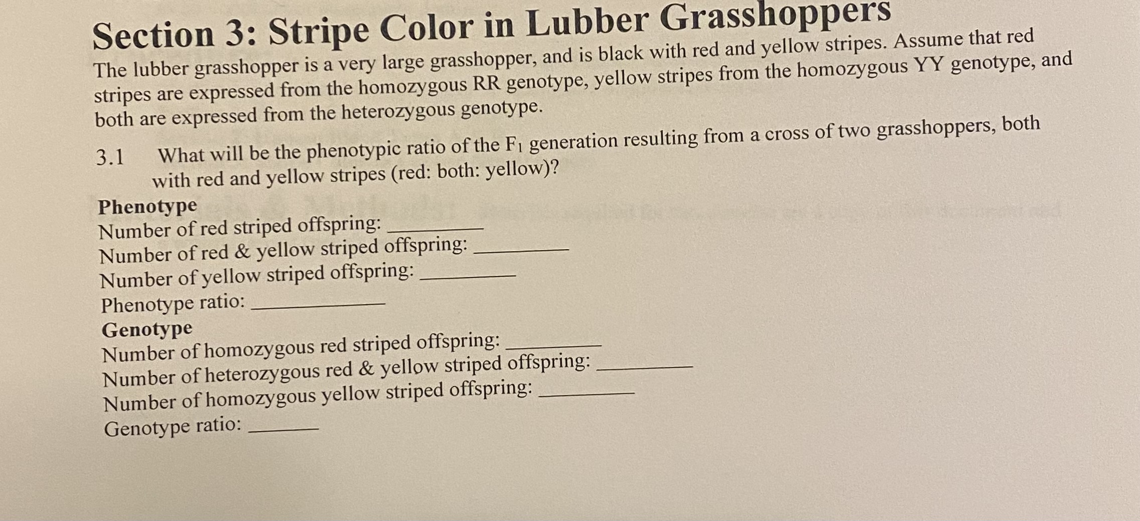 Solved Section 3: Stripe Color in Lubber Grasshoppers The | Chegg.com