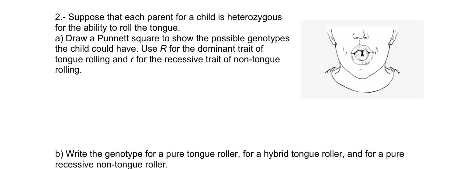 Solved 2.- Suppose that each parent for a child is | Chegg.com
