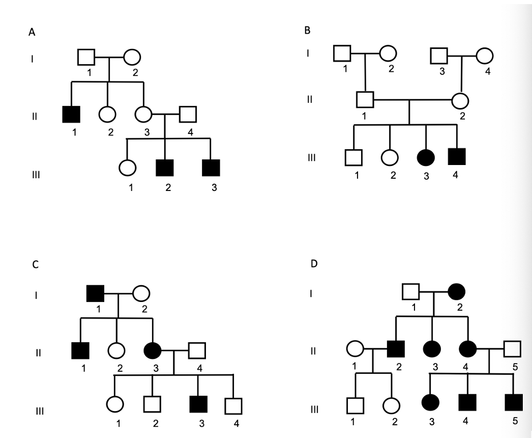 Solved For the following pedigrees i. identify the most | Chegg.com Solved For the following pedigrees i. identify the most | Chegg.com