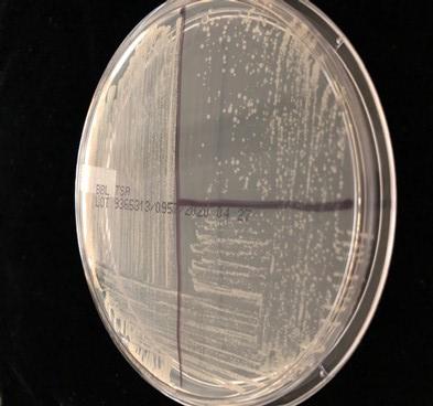 Solved ജിദ്. 60/8 : 10 63, 13 5772020 | Chegg.com