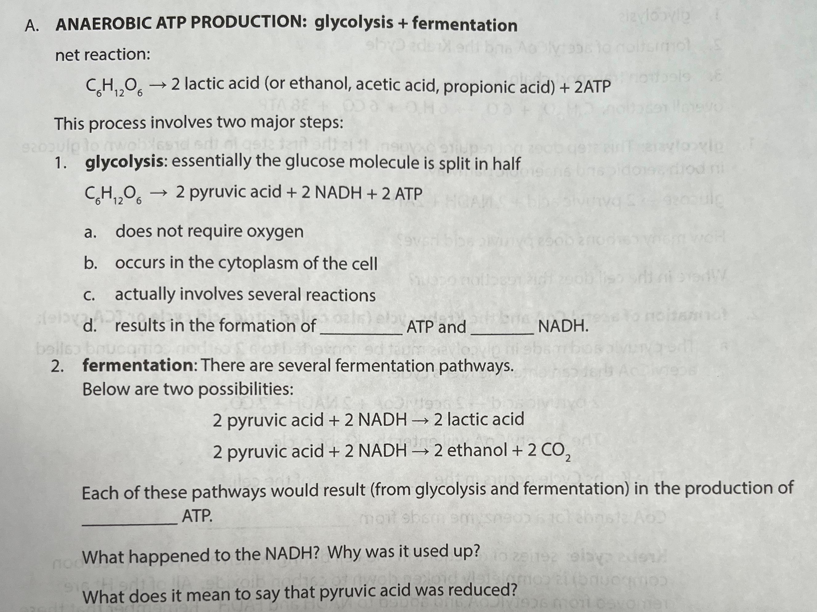 Solved Each of these pathways would result (from glycolysis | Chegg.com