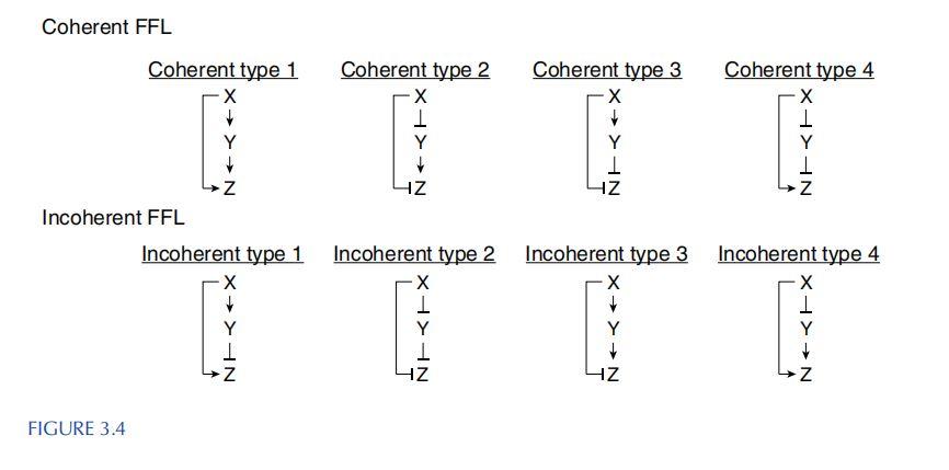 Solved Solve the dynamics of the coherent type-3 FFL (Figure | Chegg.com
