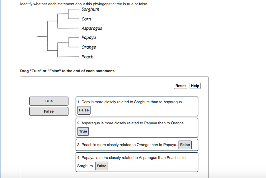 Solved ldentify whether each statement about this | Chegg.com