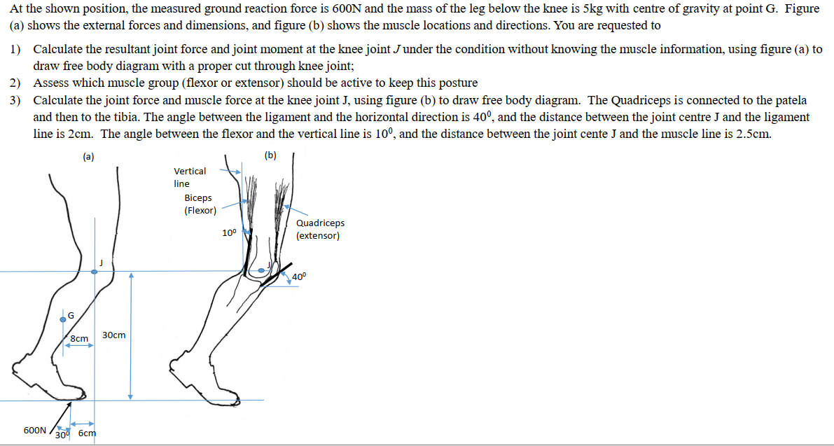 Solved At the shown position, the measured ground reaction | Chegg.com