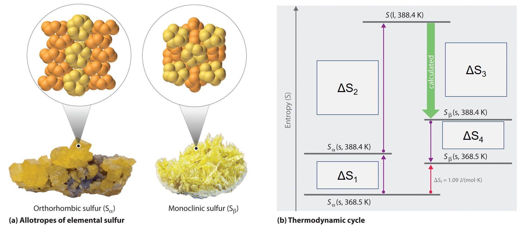 Solved Orthorhombic sulfur (Sa) has a highly ordered | Chegg.com