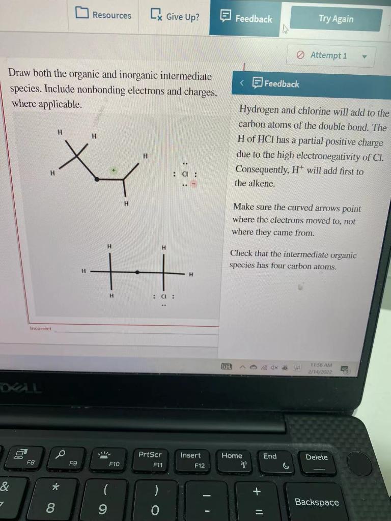 Solved Please note that it won't allow me to type CH3, on C, | Chegg.com
