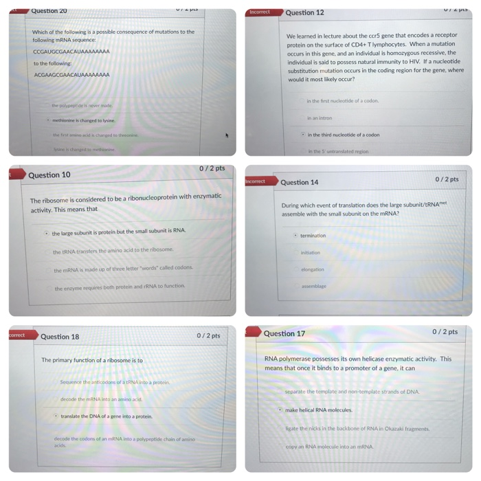 Solved ion 20 Incorrect ion 12 Which Of The Chegg
