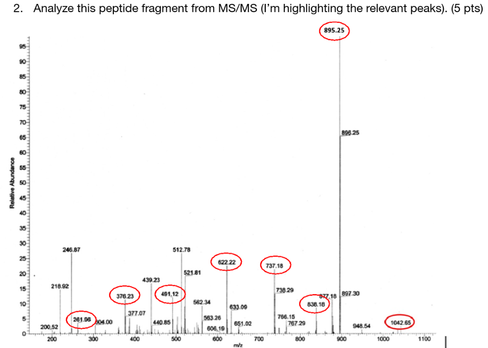 Solved Help me analyze this MS/MS 2. ﻿Analyze this peptide | Chegg.com