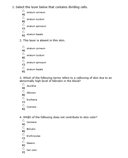 Solved 1. Select the layer below that contains dividing | Chegg.com