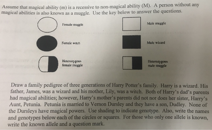Solved 13 14 เร 17 30 28 What is the modal number? Is there | Chegg.com